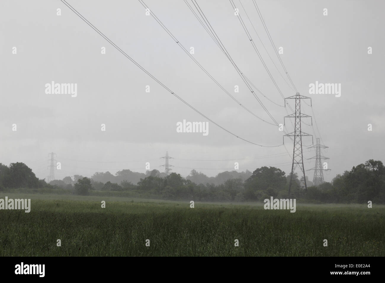 Tolworth Court Farm, Surrey, England, UK. 10th May 2014. It was a day ...
