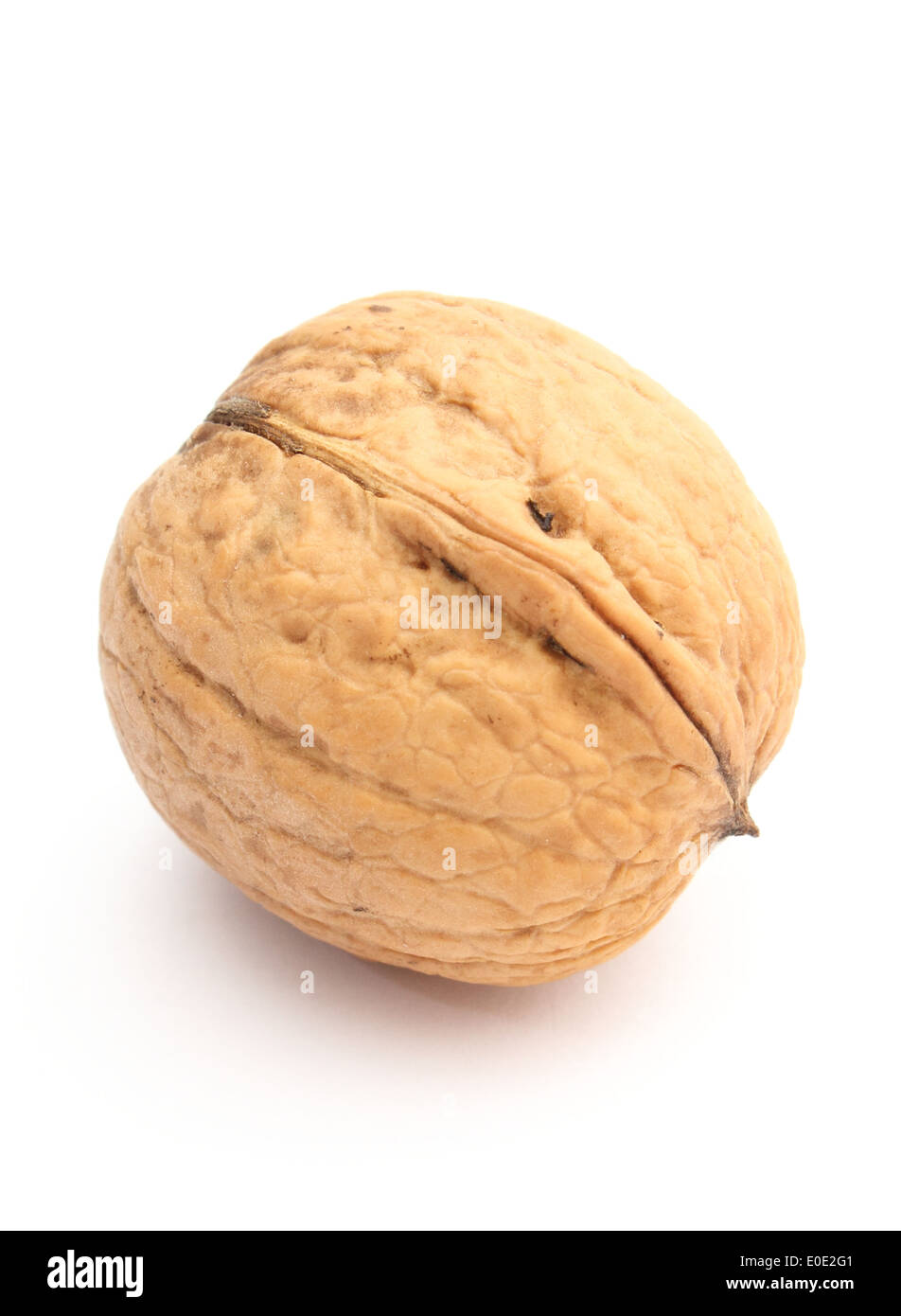 Closeup of brown and fresh walnut isolated on white background Stock ...
