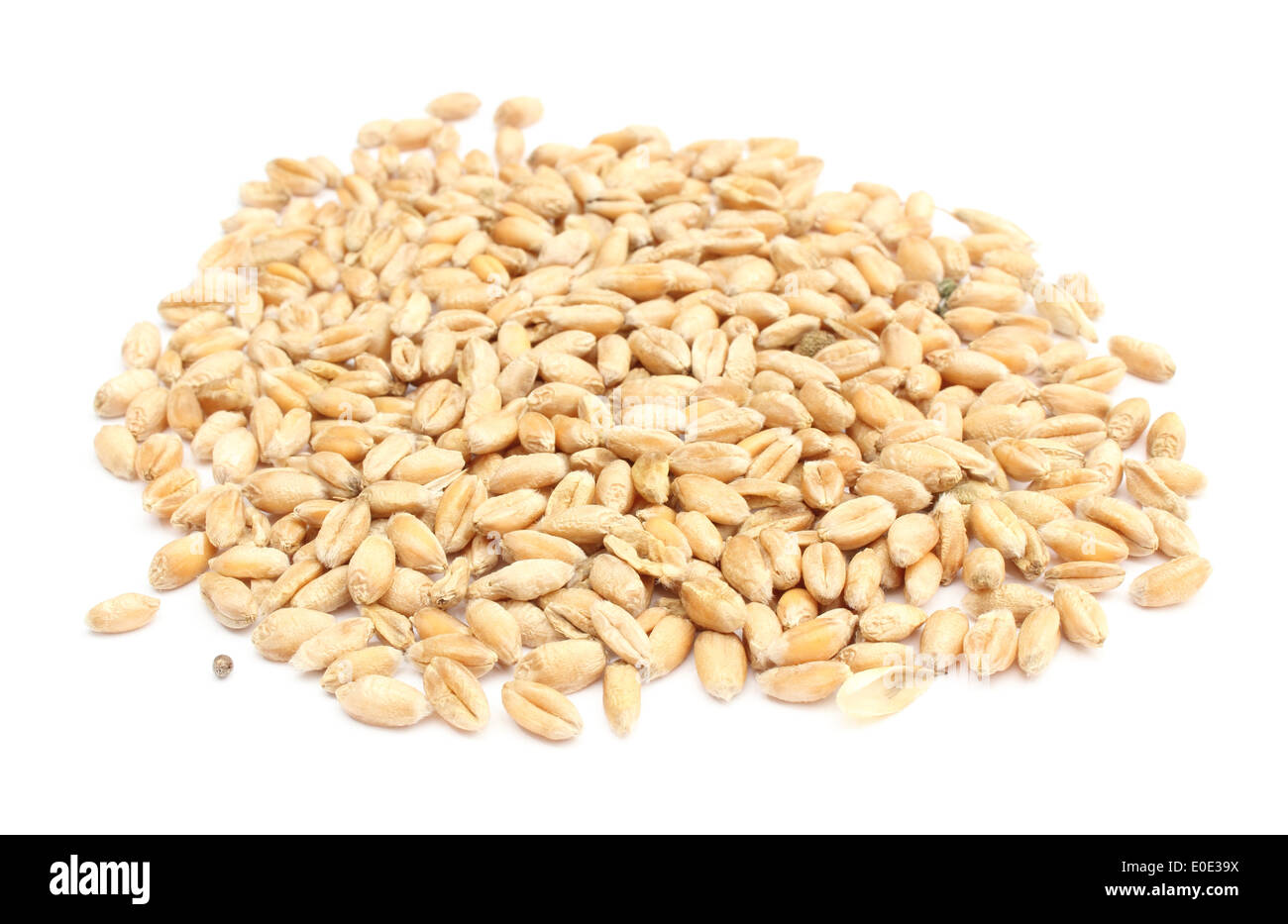 Closeup of wheat grain isolated on white background Stock Photo - Alamy