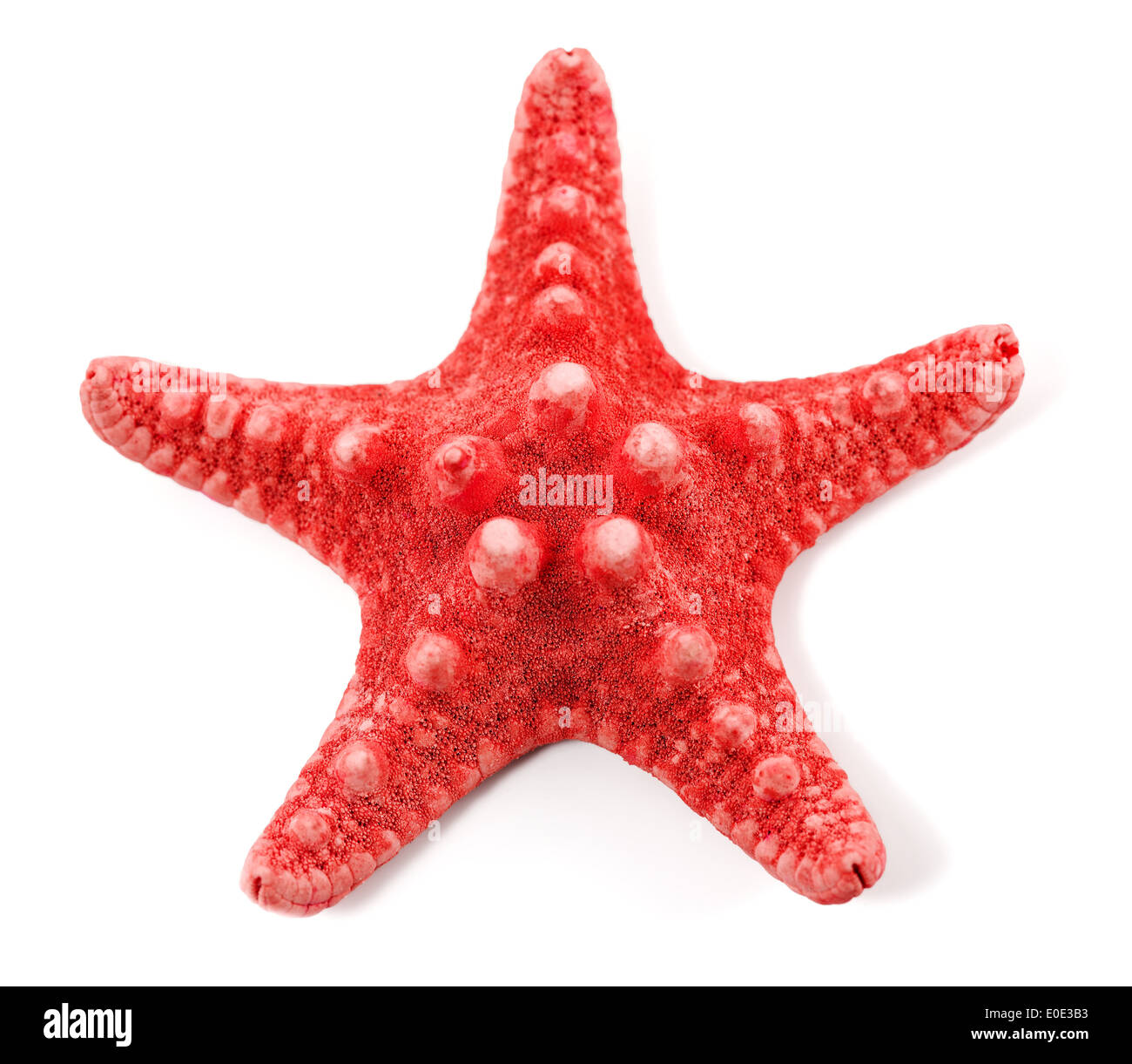 starfish isolated on a white background Stock Photo - Alamy