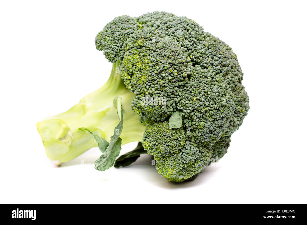 White isolated green broccoli Stock Photo - Alamy