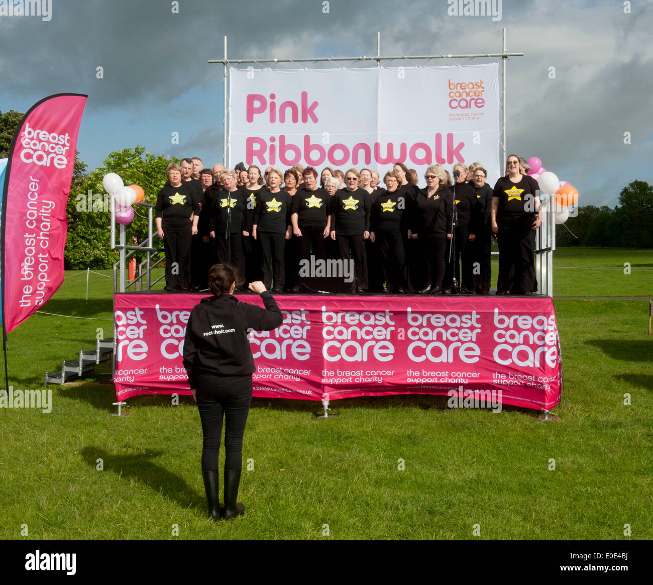 The 10th pink ribbon walk at blenheim palace hi-res stock photography ...