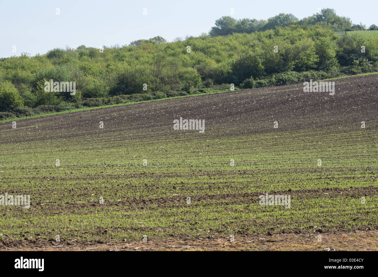 Soil agriculture hi-res stock photography and images - Alamy
