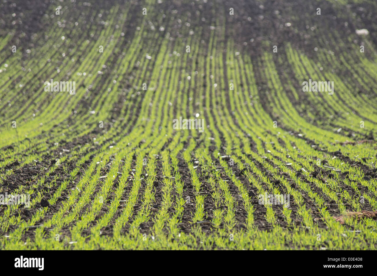 Soil agriculture hi-res stock photography and images - Alamy