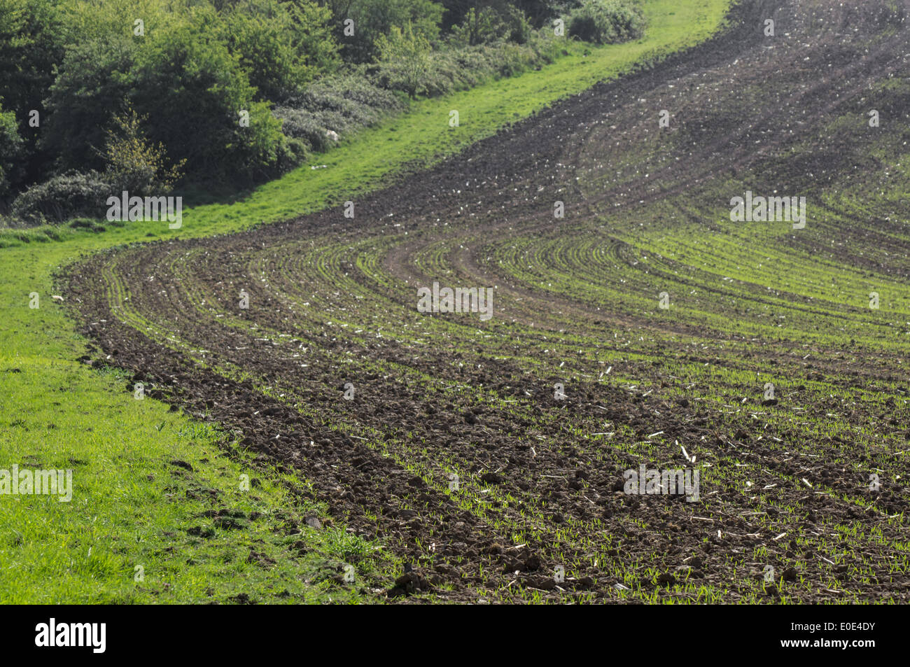 Green soil hi-res stock photography and images - Alamy
