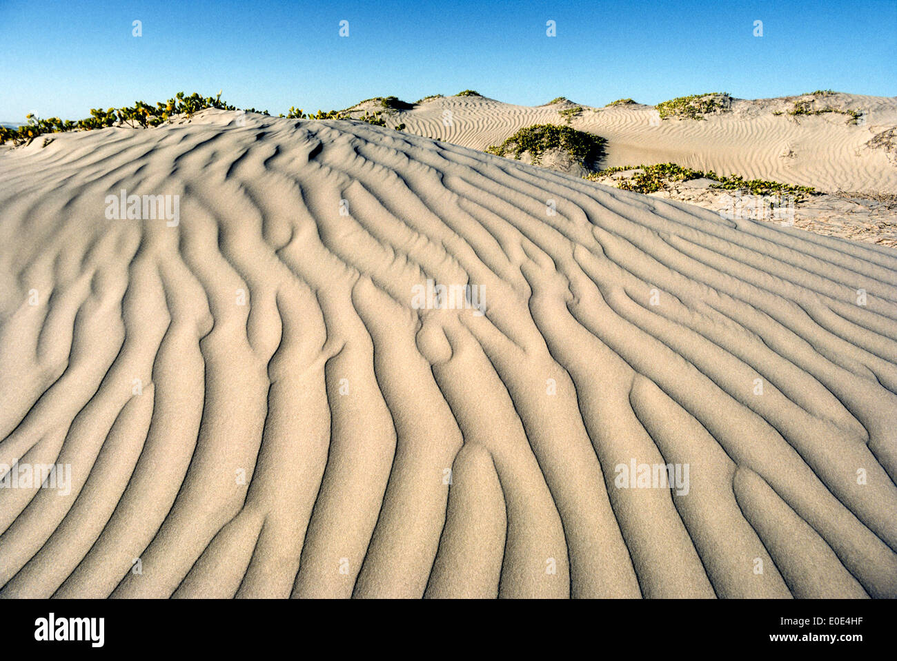 Sand waves wind sand patterns hi-res stock photography and images - Alamy