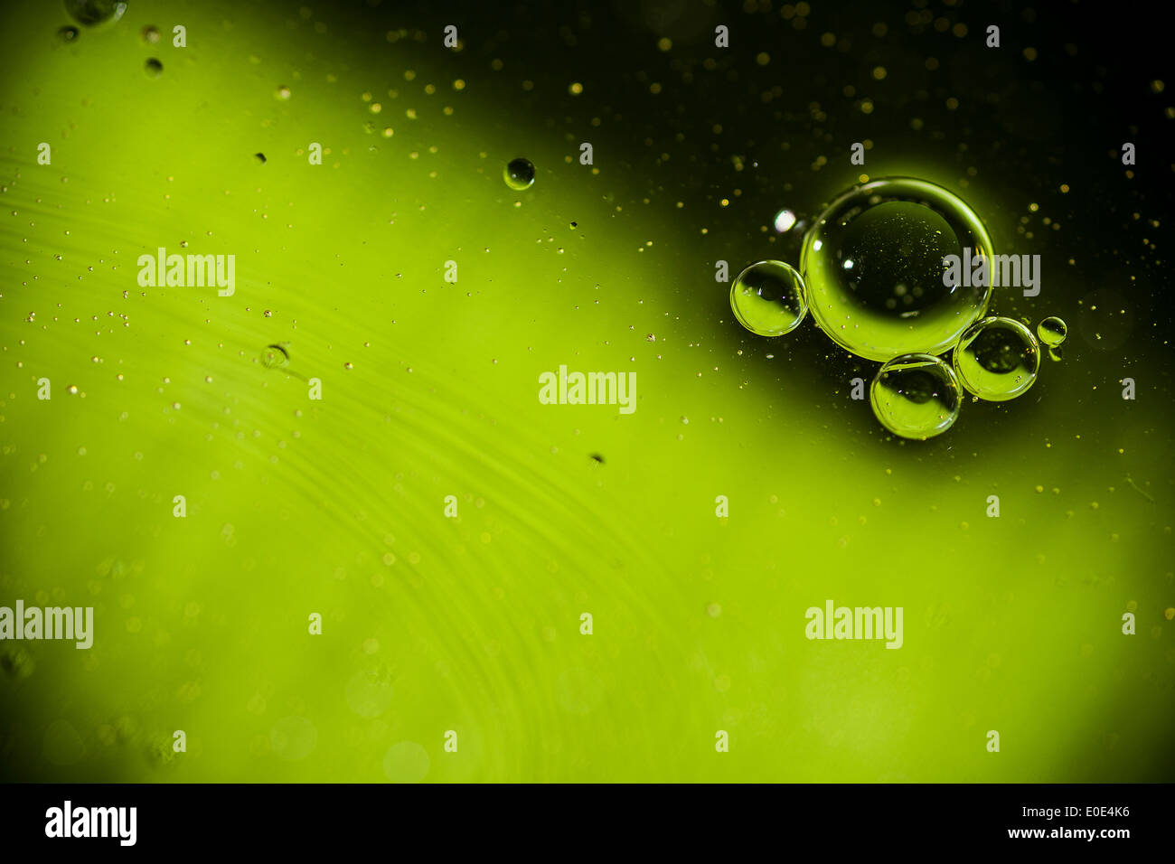 Oil & Water (bubbles) - colourful green abstract background Stock Photo ...