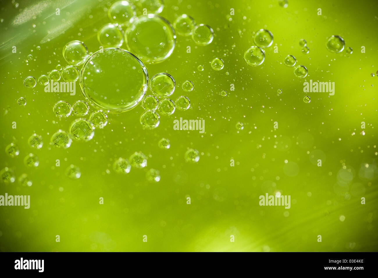 Oil & Water (bubbles) - colourful green abstract background Stock Photo ...