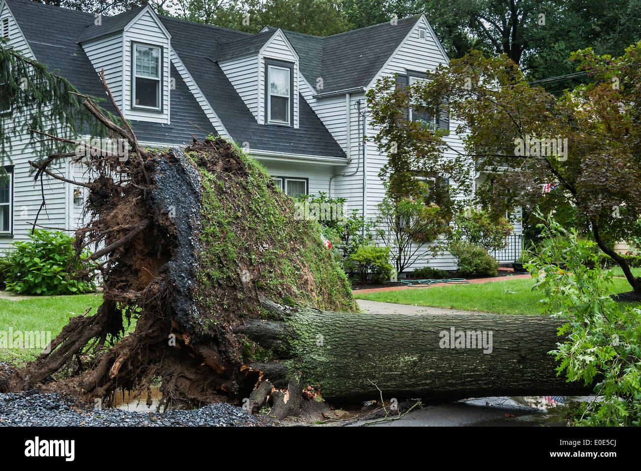 Hurricane damages hi-res stock photography and images - Alamy