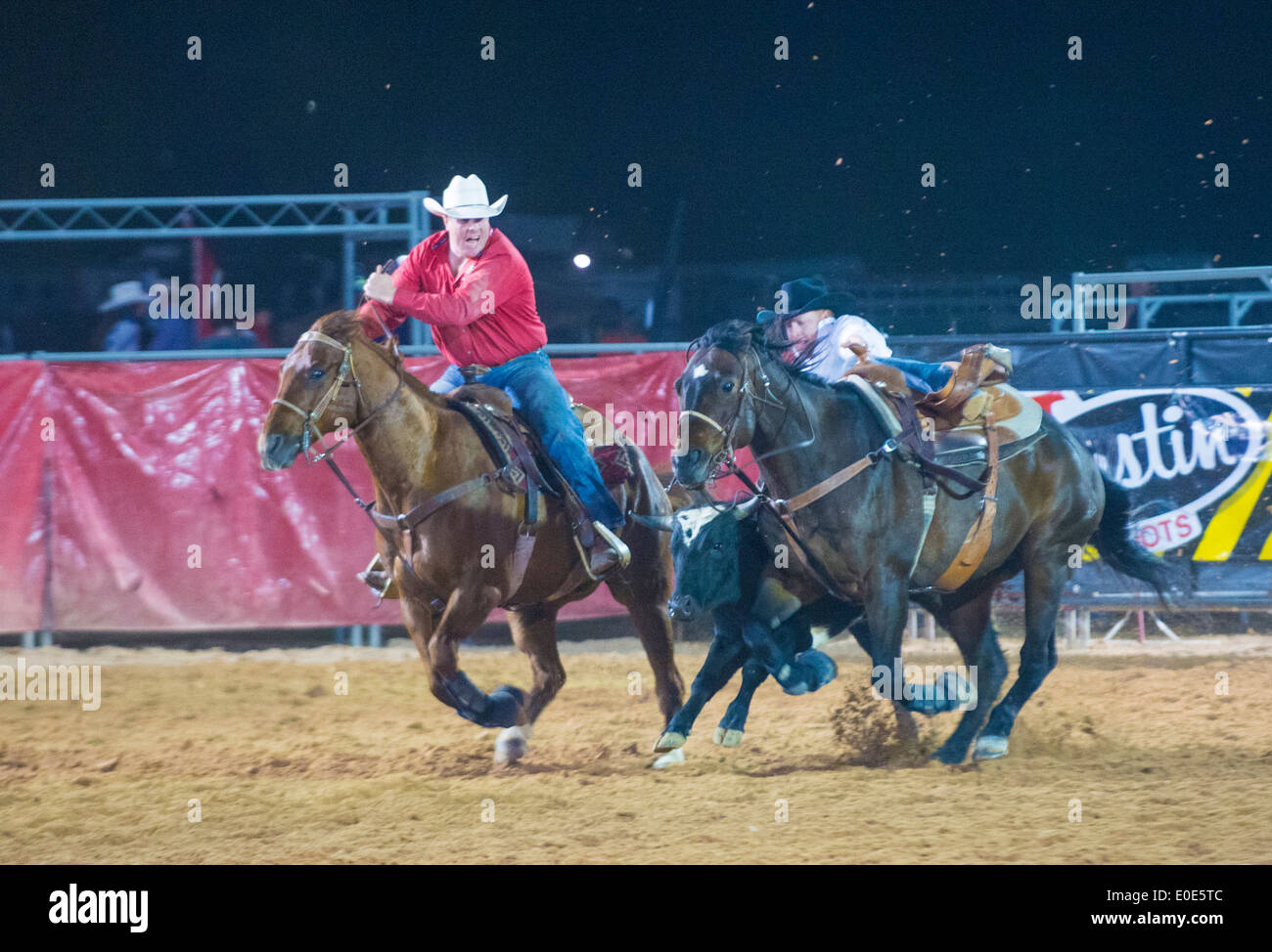 Cowboy Participating in a Steer wrestling Competition at the Clark ...