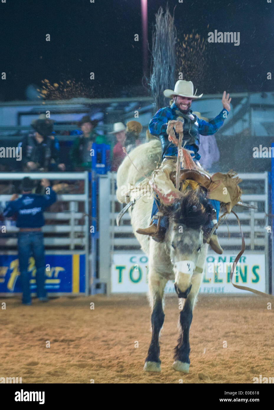 Cowboy Participating in a Bucking Horse Competition at the Clark County ...