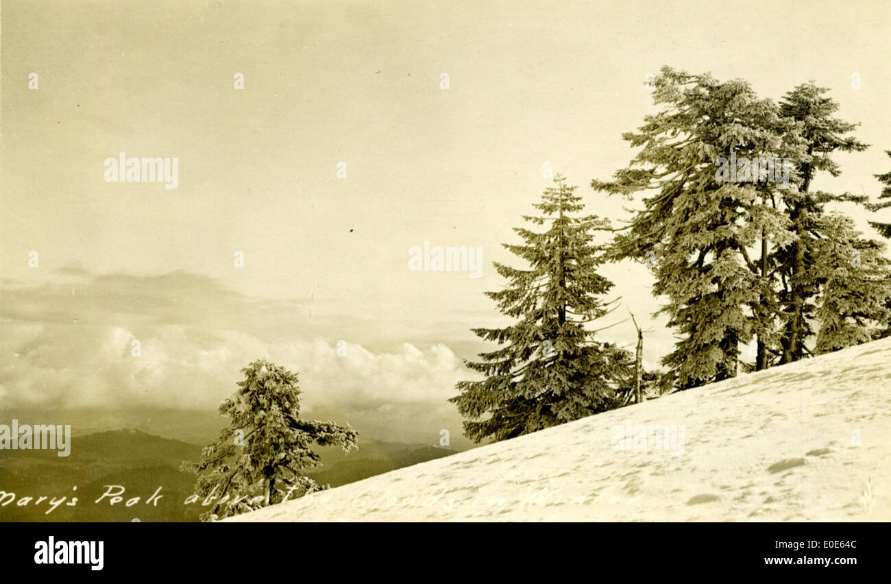A wintertime photograph of Mary's Peak, Oregon, taken from above the ...