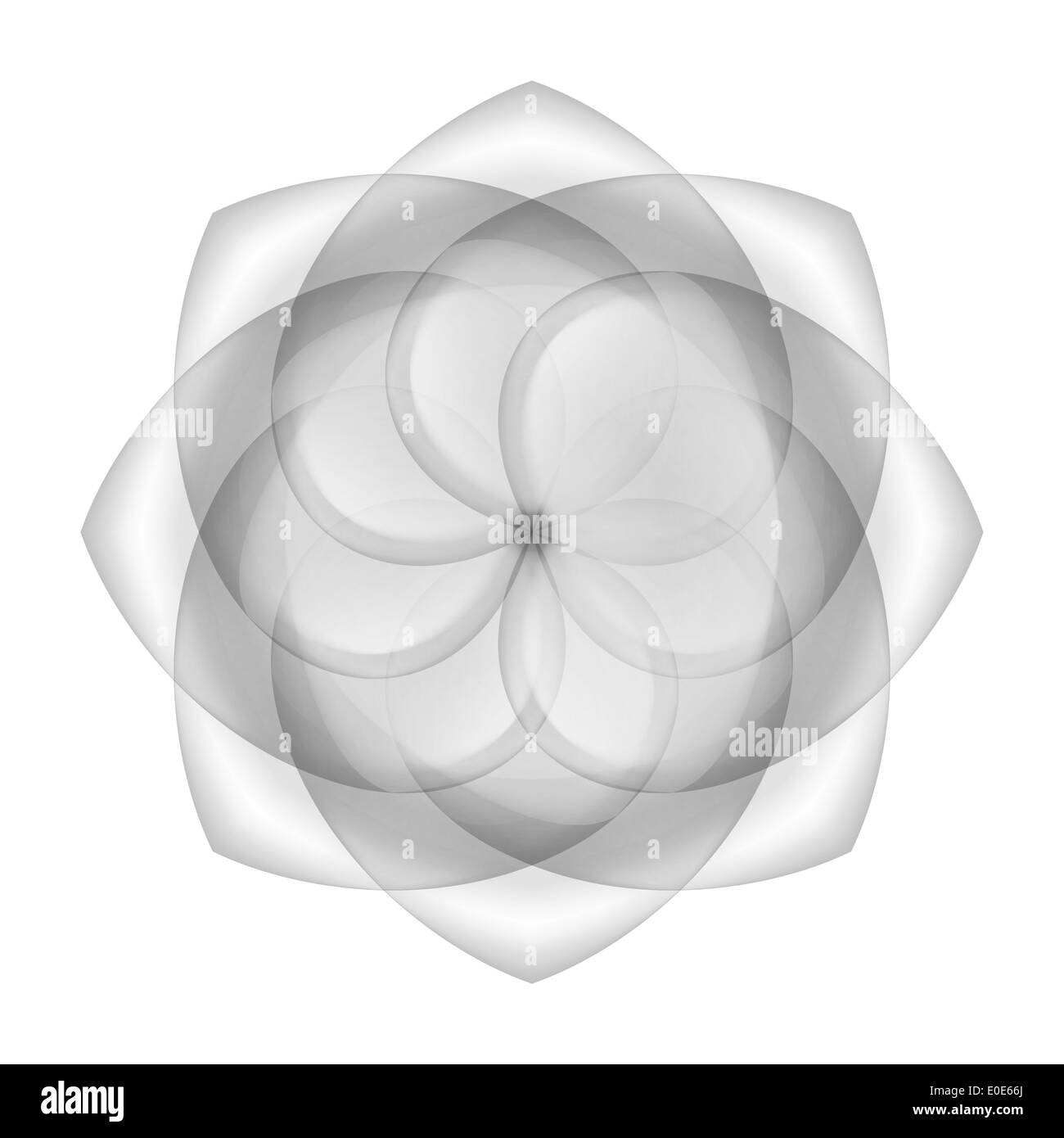 Illustration of abstract flower with transparent elements over white ...