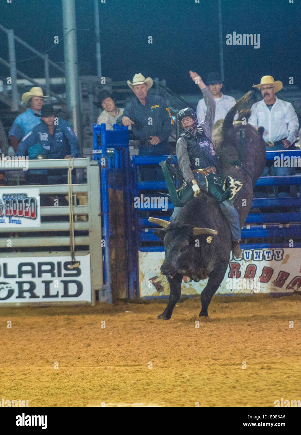 Cowboy Participating in a Bull riding Competition at the Clark County ...