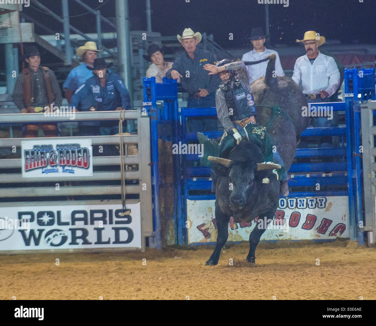 Cowboy Participating in a Bull riding Competition at the Clark County ...