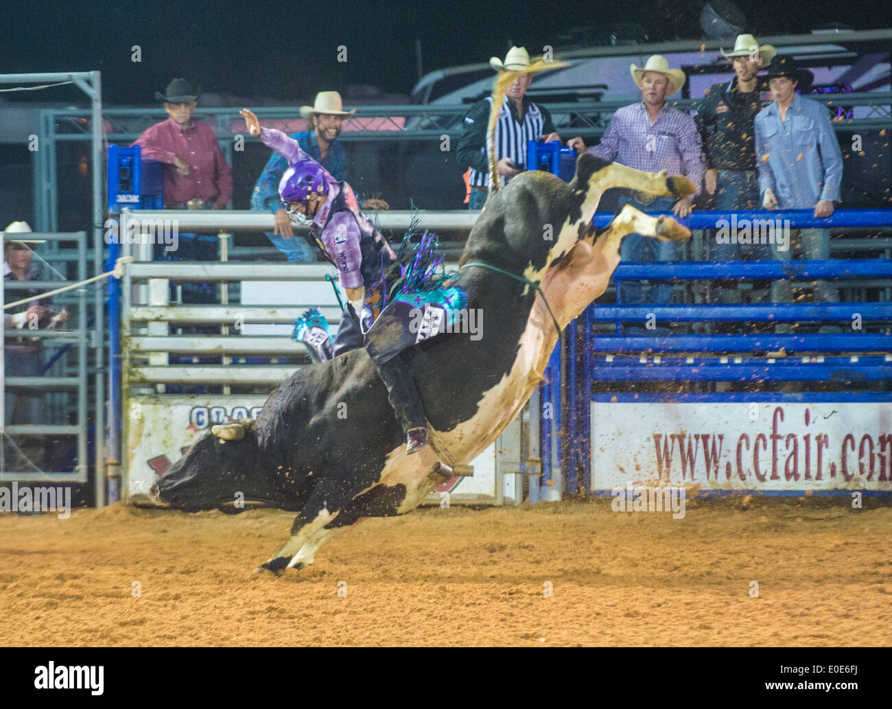 Cowboy Participating in a Bull riding Competition at the Clark County ...