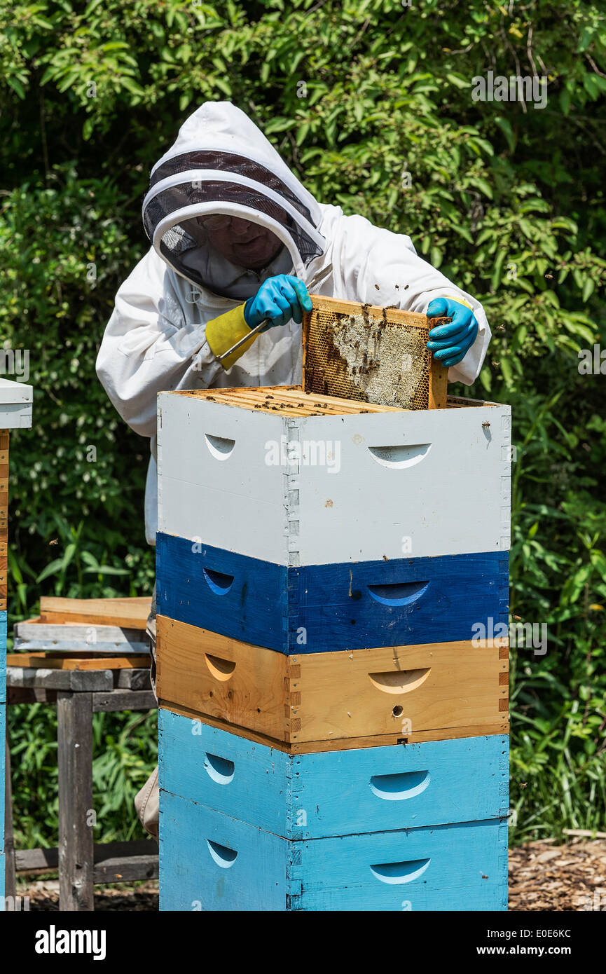 Frames hi-res stock photography and images - Alamy