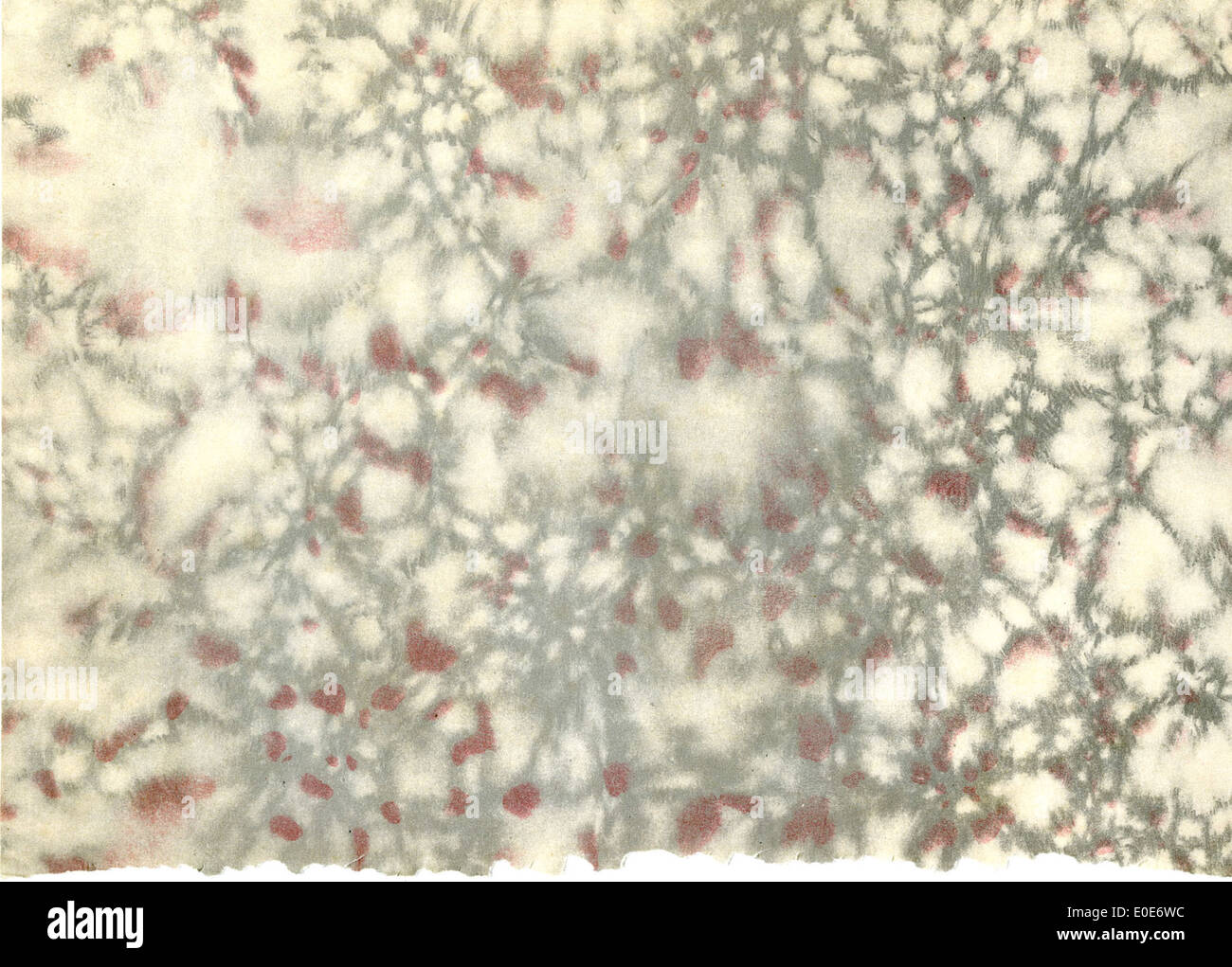 A photograph showcasing a piece of marbled paper, highlighting the ...