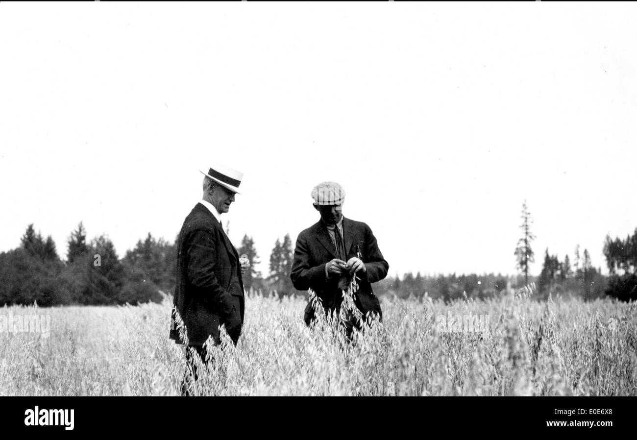 Hyslop hi-res stock photography and images - Alamy