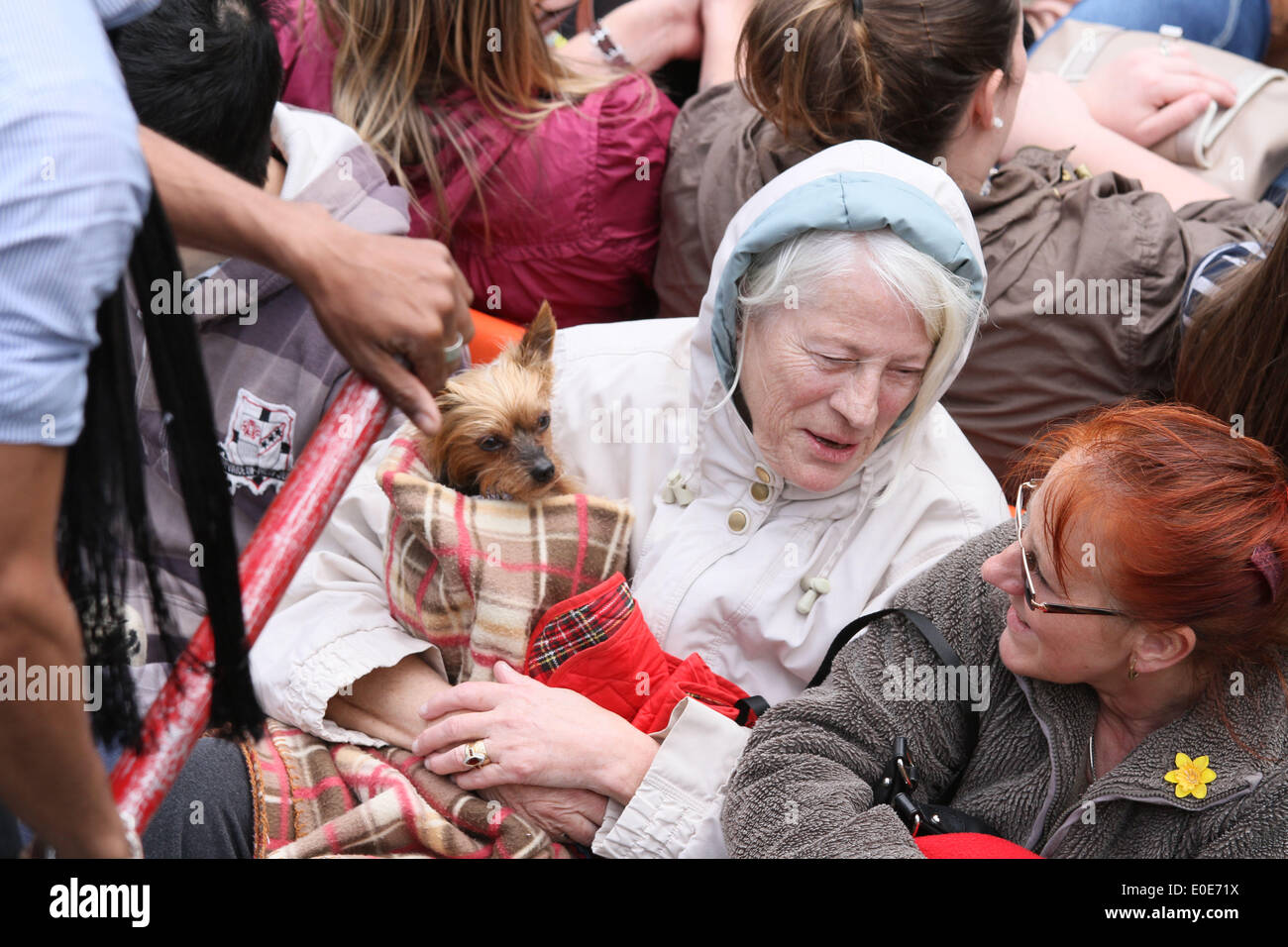 Cambridge punting dog hi-res stock photography and images - Alamy