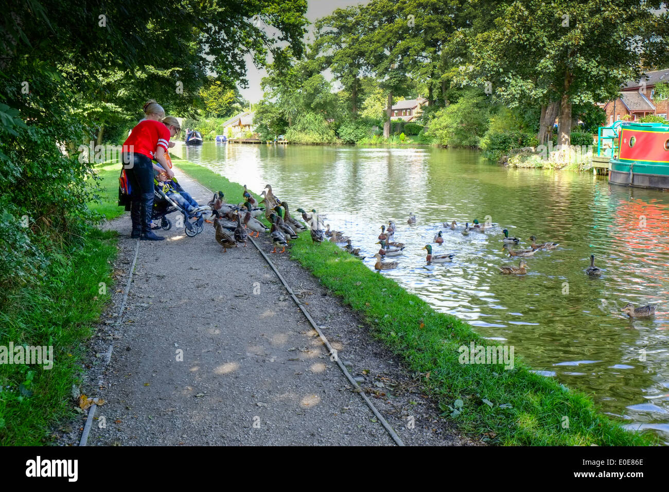 Lancaster lancashire wildlife hi-res stock photography and images - Alamy