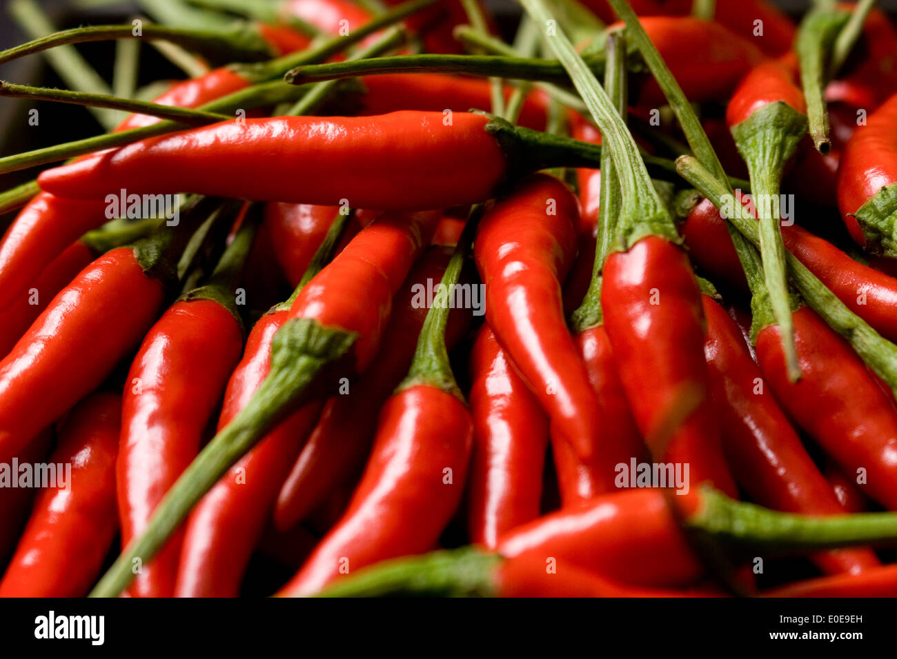 Red chili pods hi-res stock photography and images - Alamy