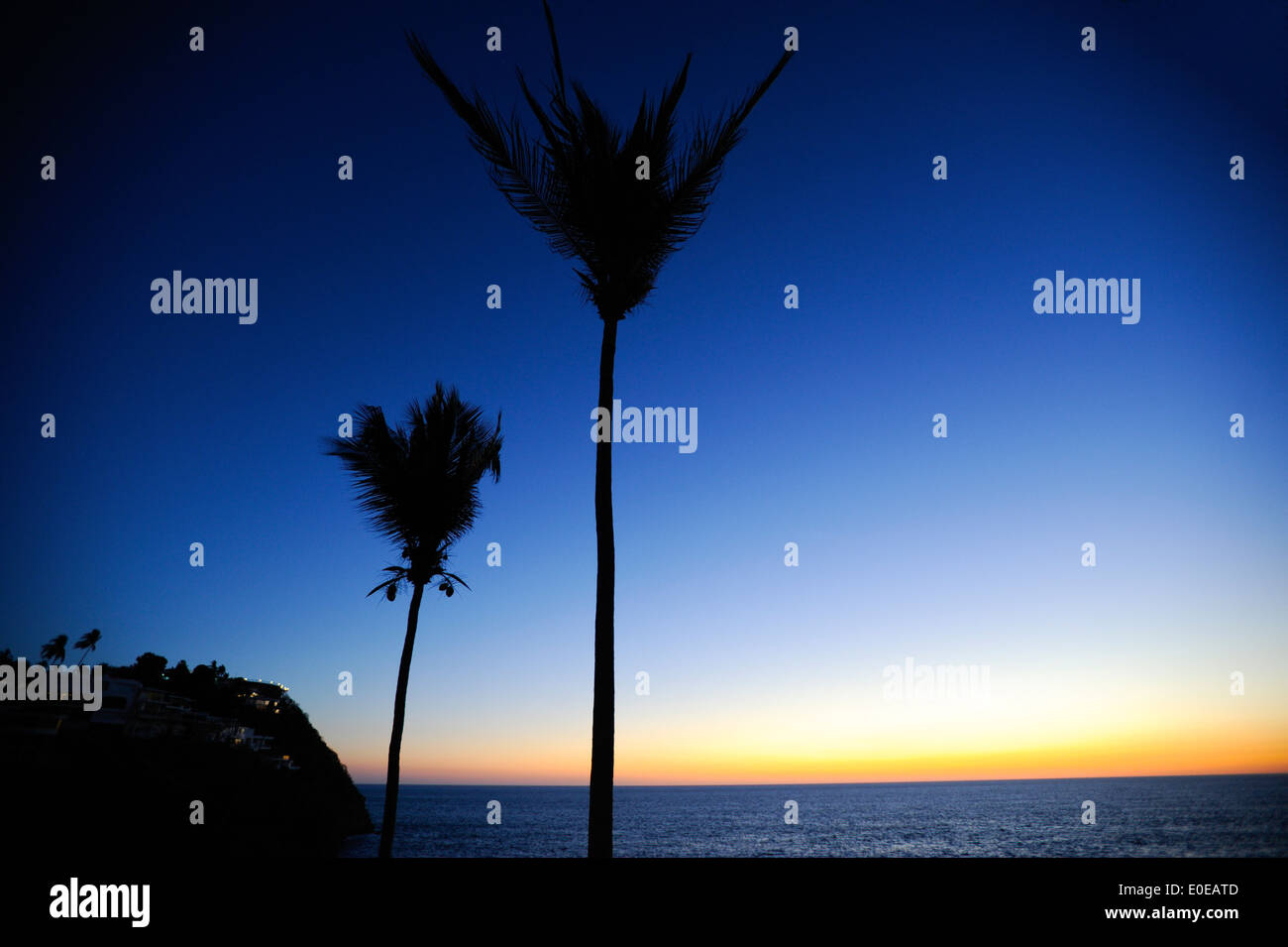 Two trees with a sunset hi-res stock photography and images - Alamy