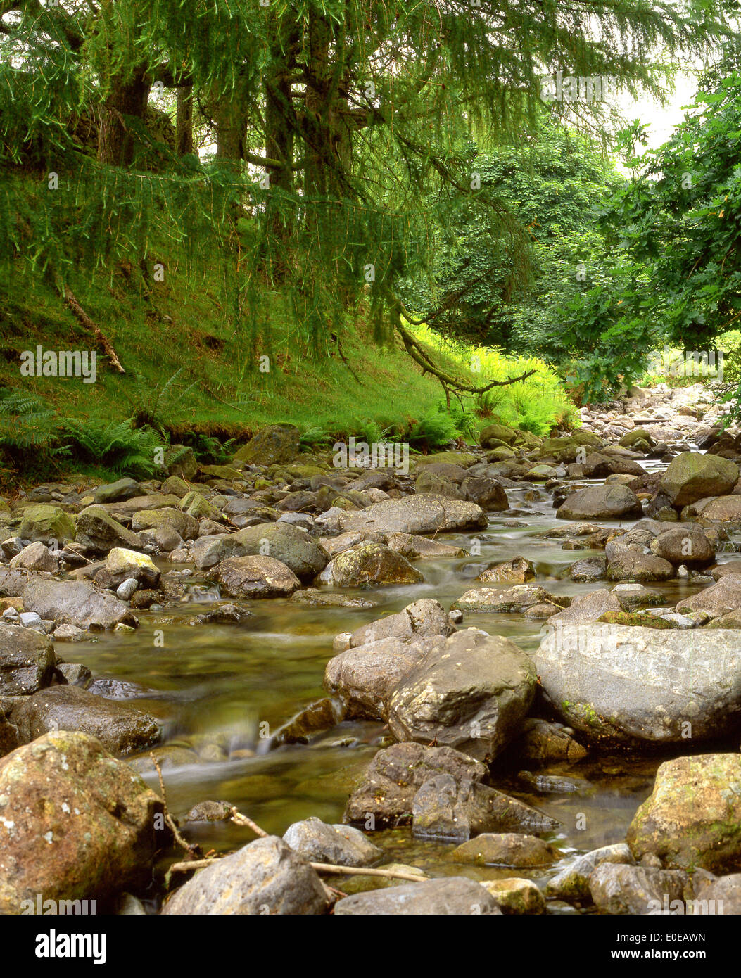Lake District stream, England Stock Photo - Alamy