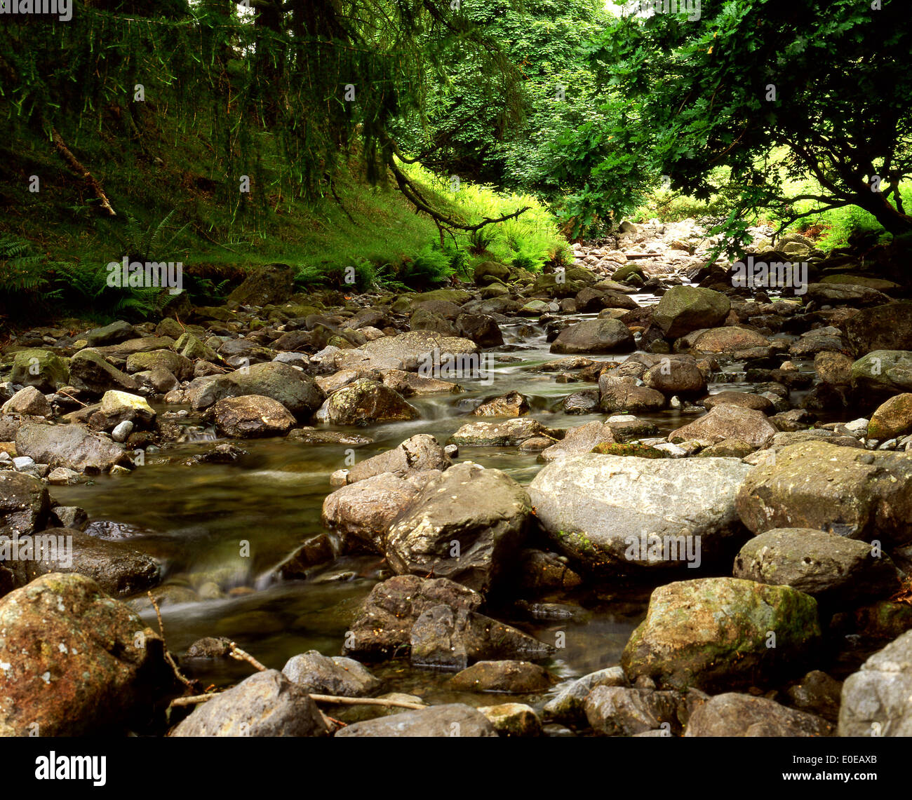 Lake District stream, England Stock Photo - Alamy