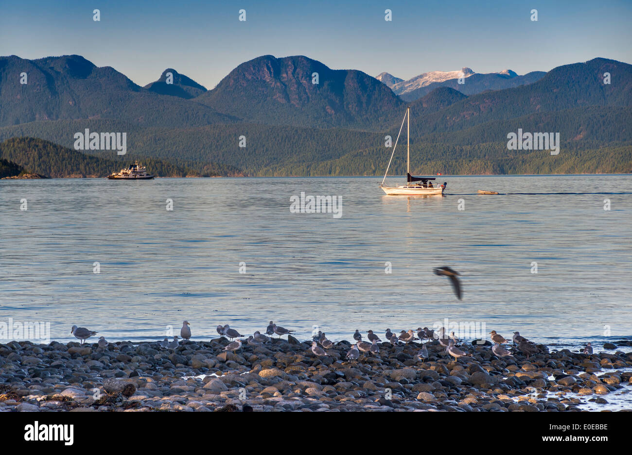 Sailboat at Sutil Channel, Discovery Islands, sunset, Rebecca Spit ...