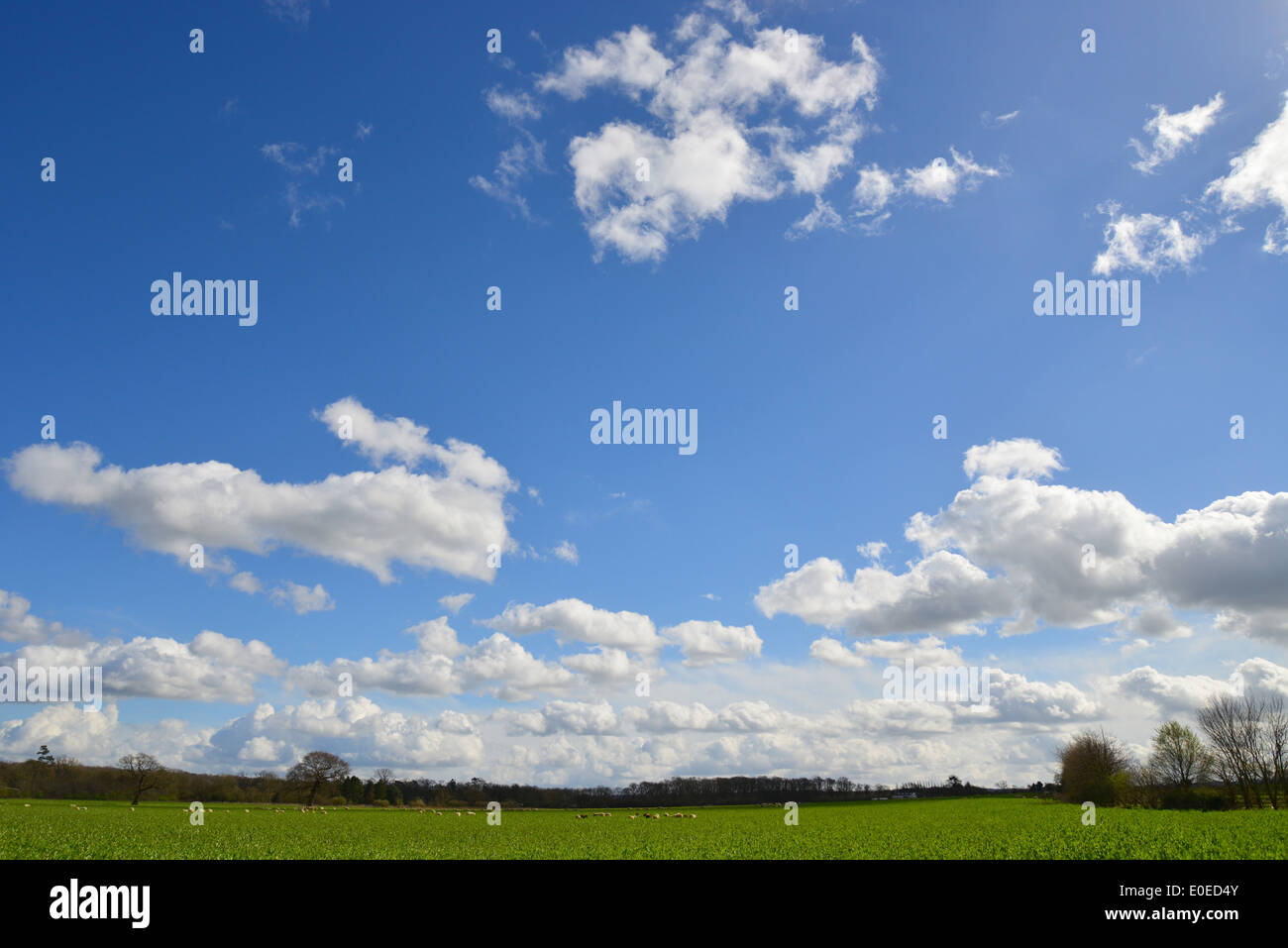 Rural landscape england hi-res stock photography and images - Alamy