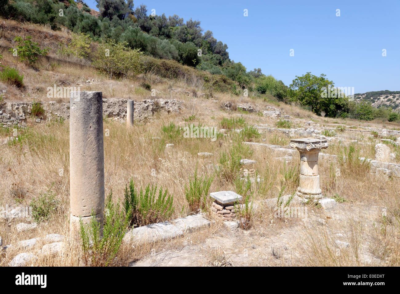 Upright columns from Early Christian basilica at Katsivelos ...