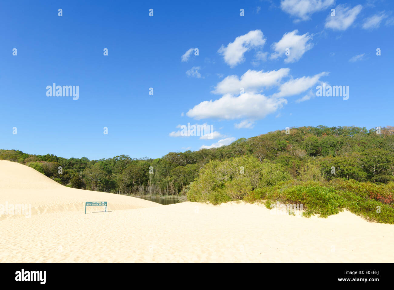 Lake Wabby, Fraser Island, Queensland, QLD, Australia Stock Photo - Alamy