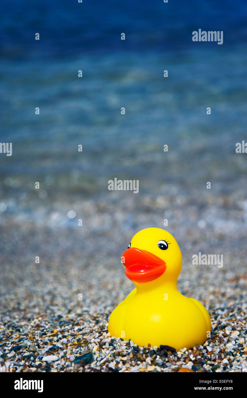 Rubber ducks on the beach hi-res stock photography and images - Alamy
