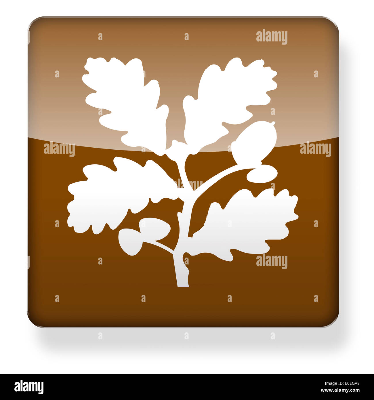 The National Trust Logo