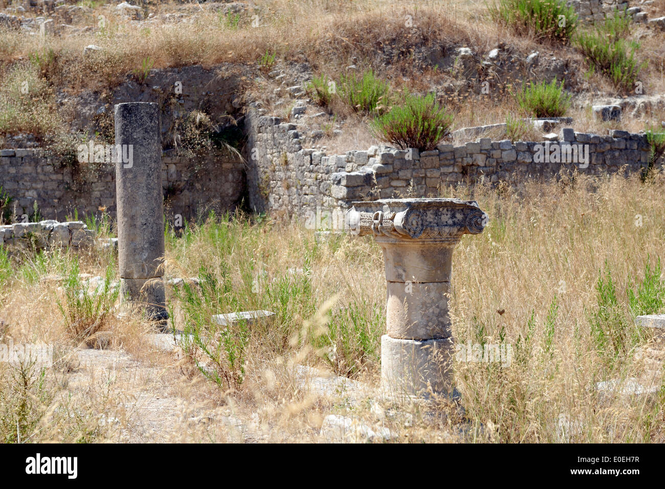 Elegant column capital from Early Christian basilica at Katsivelos ...