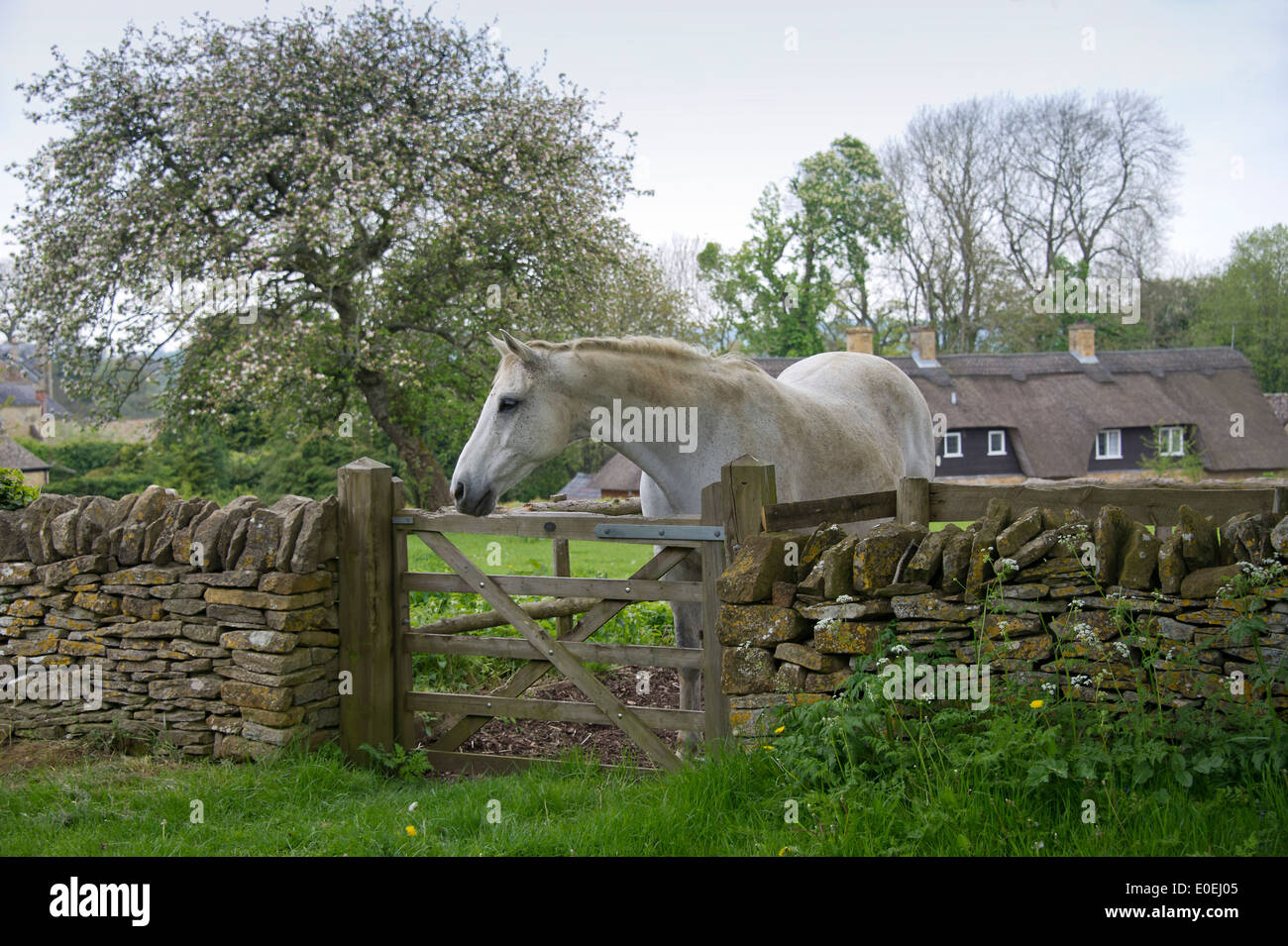 Adlestrop, Gloucestershire, the inspiration for the Edward Thomas poem ...