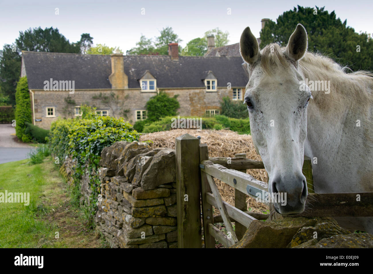 Adlestrop, Gloucestershire, the inspiration for the Edward Thomas poem ...