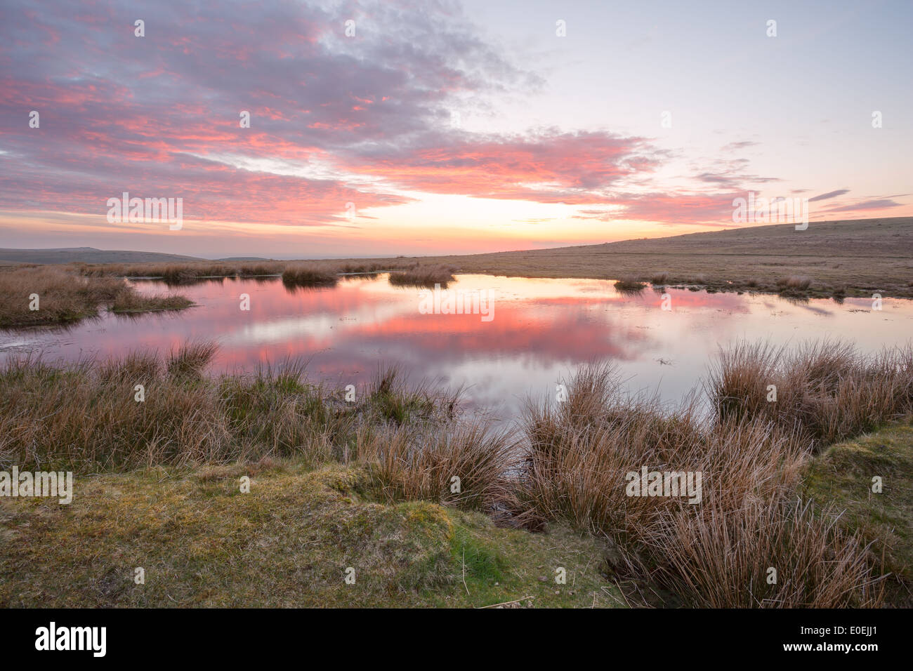Devon pond hi-res stock photography and images - Alamy