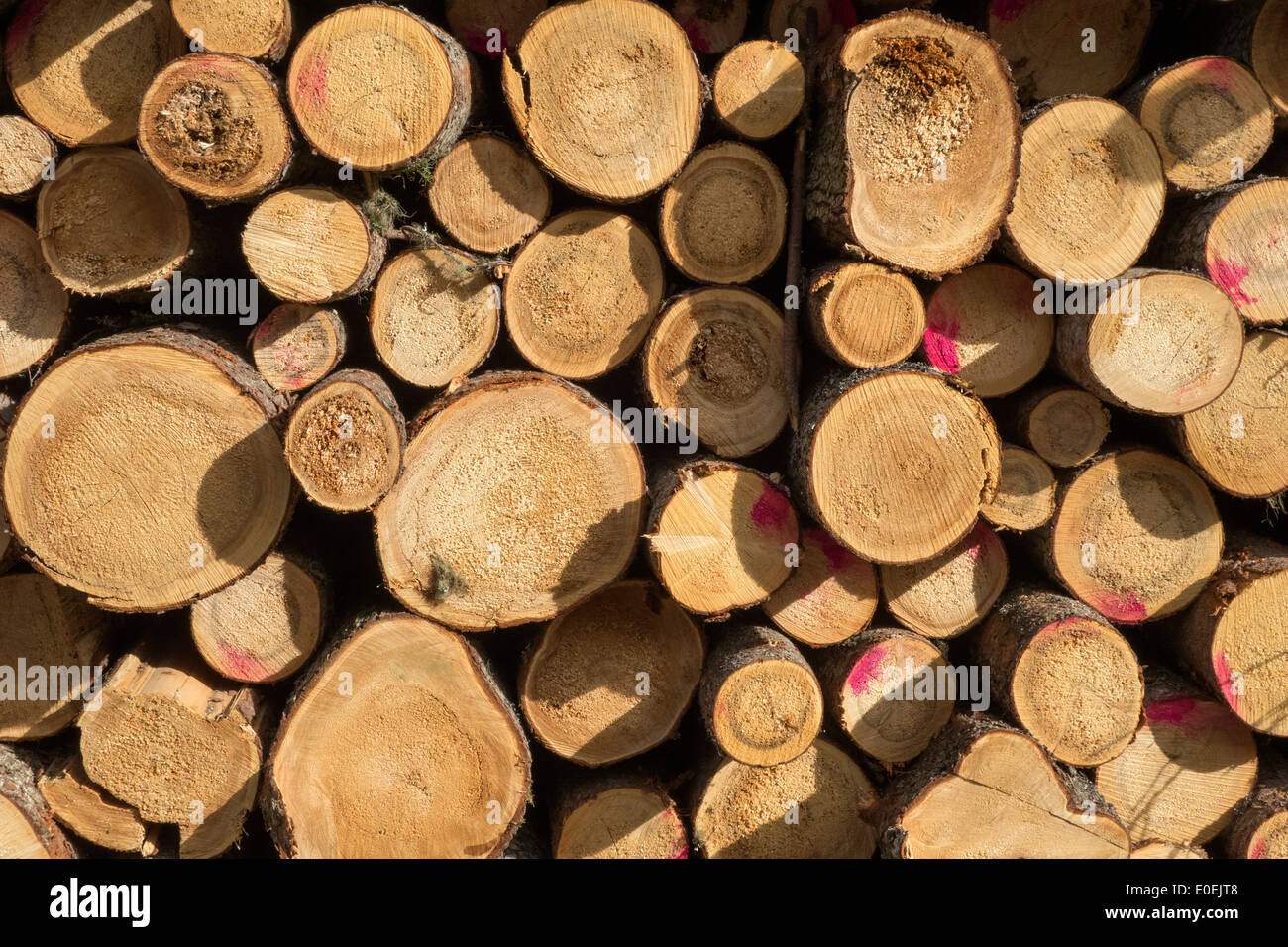 Wood block texture hi-res stock photography and images - Alamy