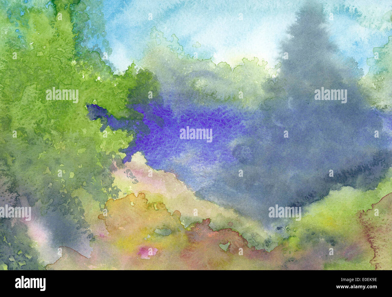 Watercolor landscape blue spruce. Watercolor landscape forest scenery ...