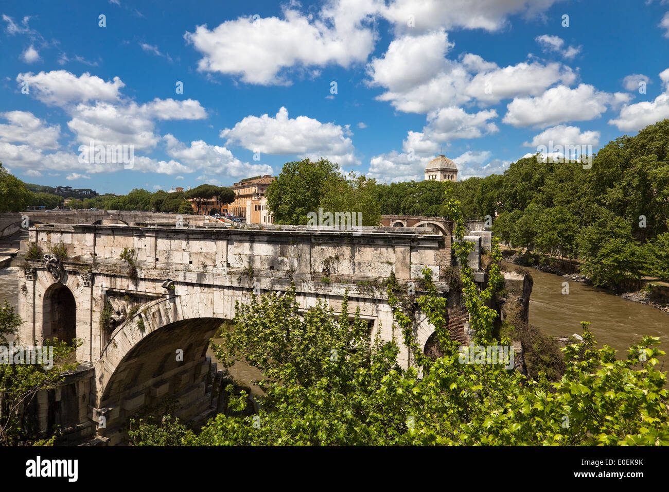 Aemilius High Resolution Stock Photography and Images - Alamy