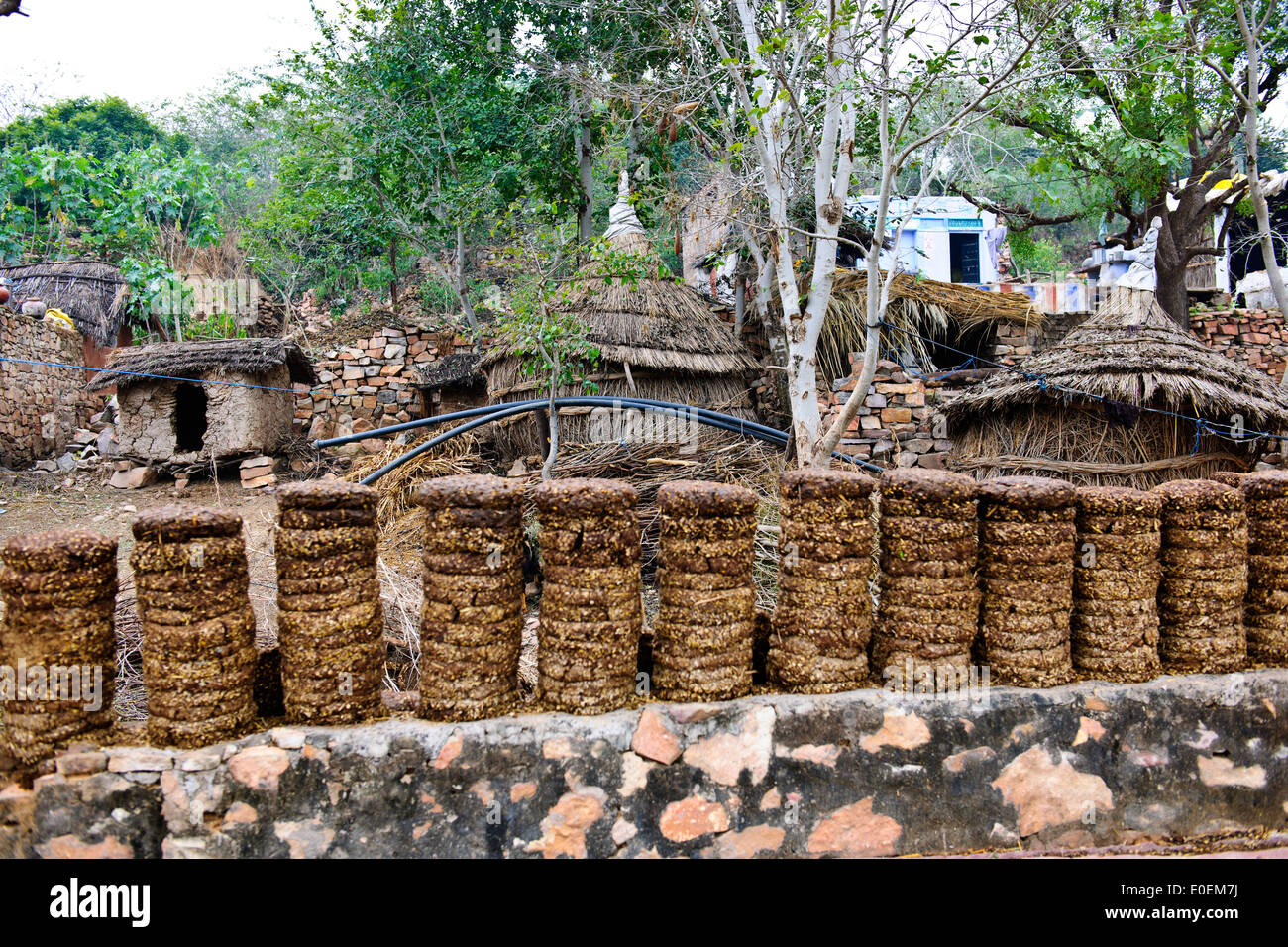 Ramathra Fort,Kalisil Dam Lake,Fishermen,Vegetable Garden,Papayas ...