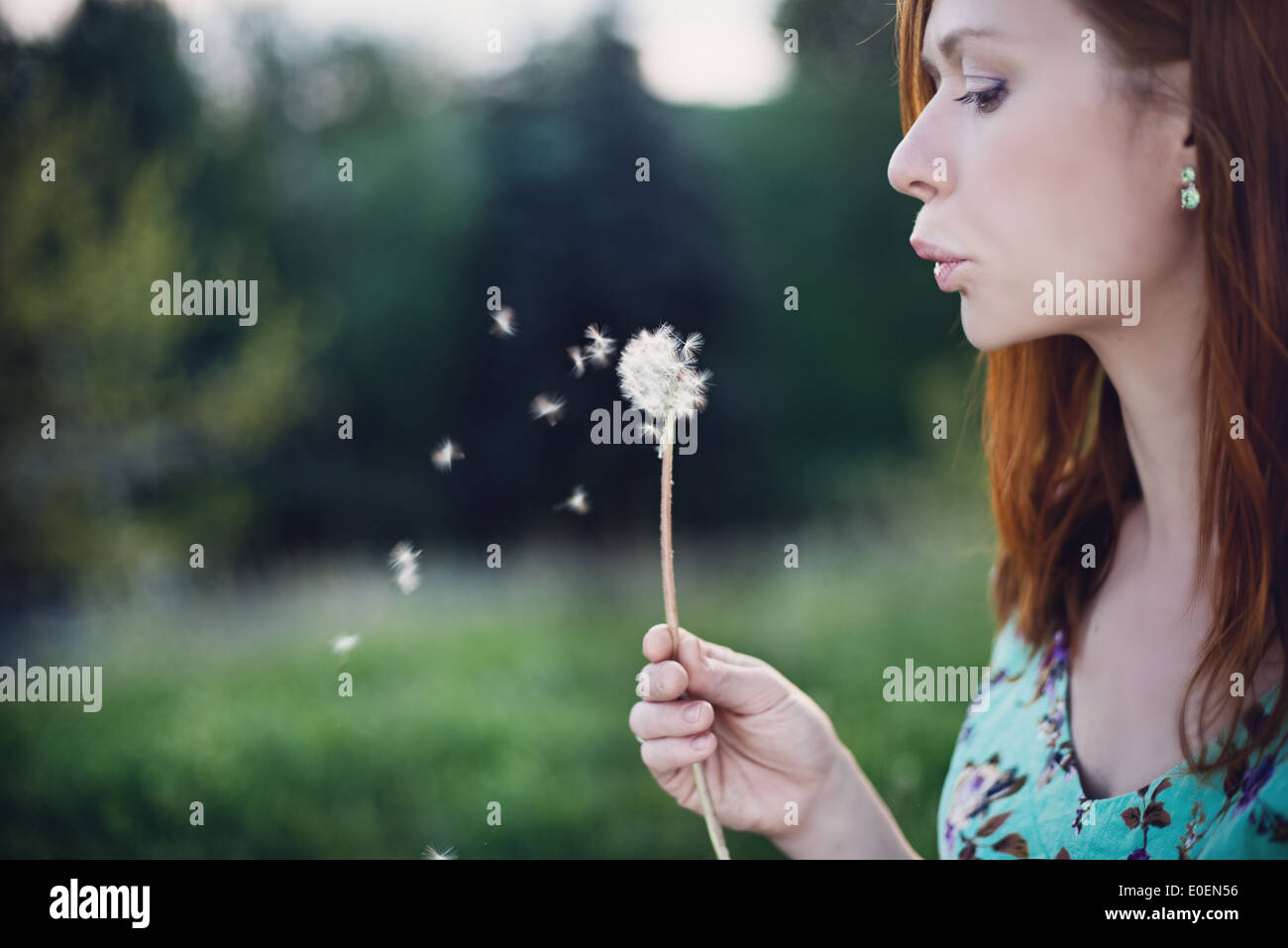 Woman hand blowing dandelion hi-res stock photography and images - Alamy