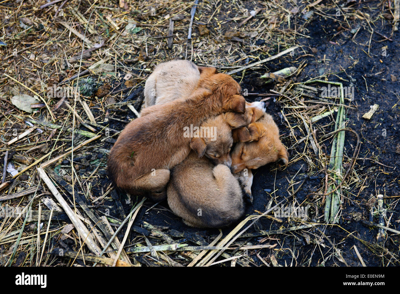 Ramathra Fort,Kalisil Dam Lake, Fishermen,Vegetable Garden,Papayas ...