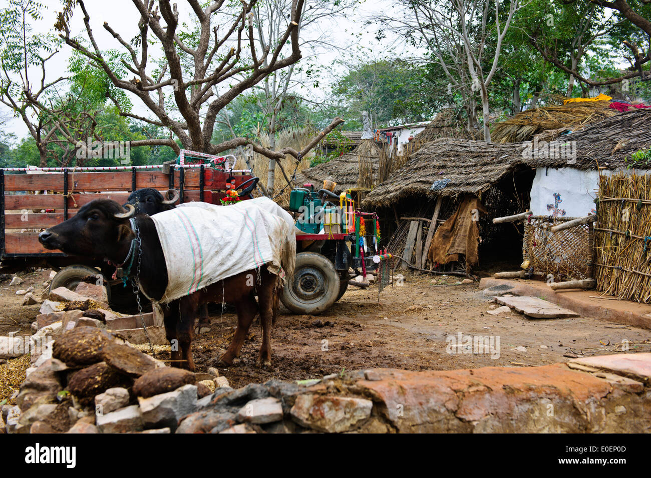 Ramathra Fort,Kalisil Dam Lake, Fishermen,Vegetable Garden,Papayas ...