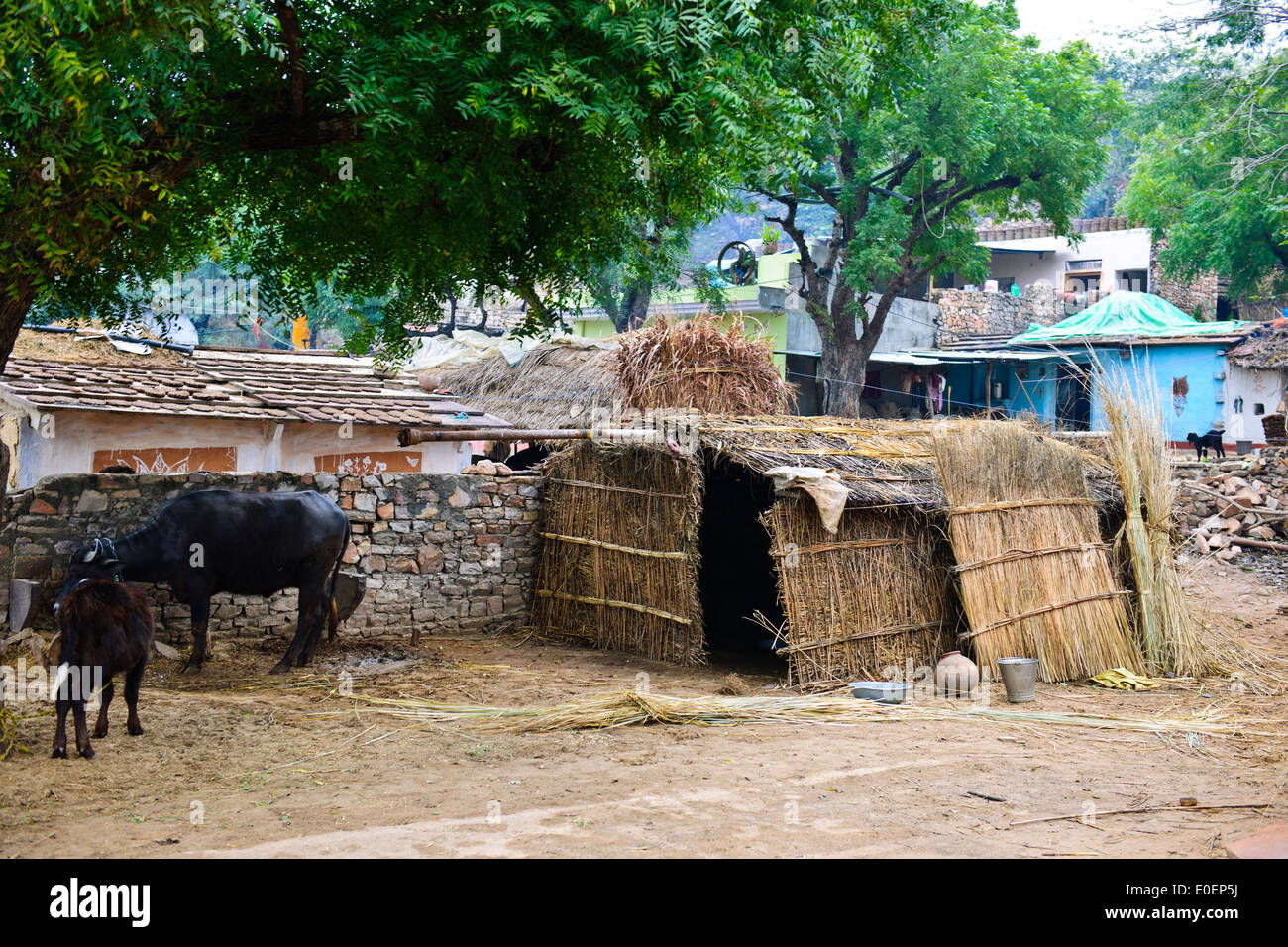 Ramathra Fort,Kalisil Dam Lake, Fishermen,Vegetable Garden,Papayas ...
