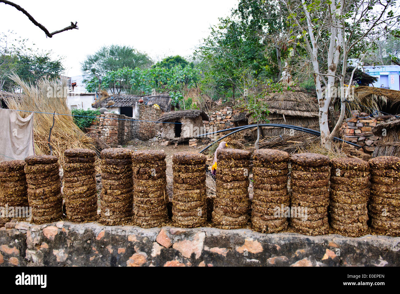Ramathra Fort,Kalisil Dam Lake, Fishermen,Vegetable Garden, Papayas ...