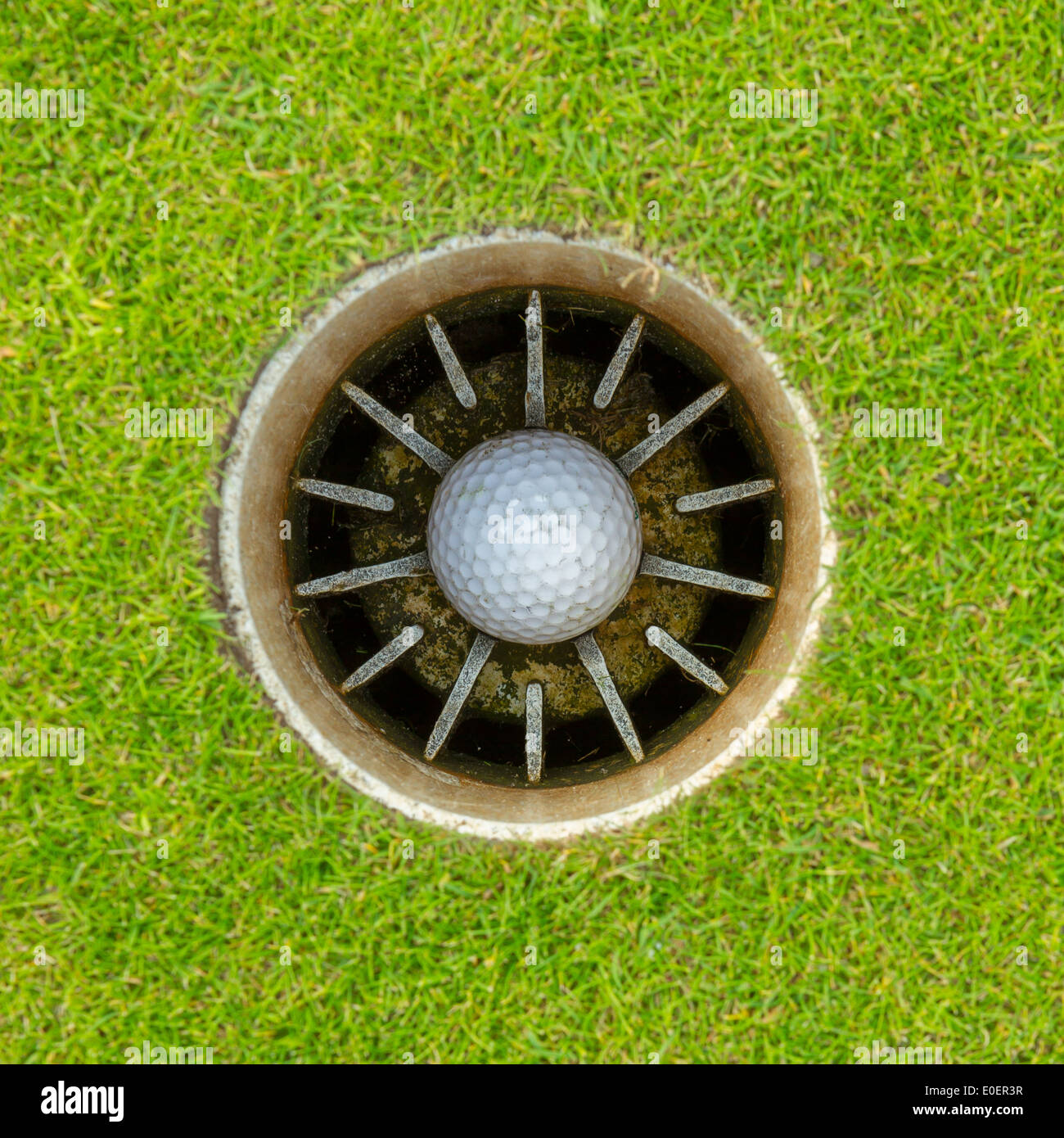 Hole in One - Golf ball in the cup Stock Photo - Alamy