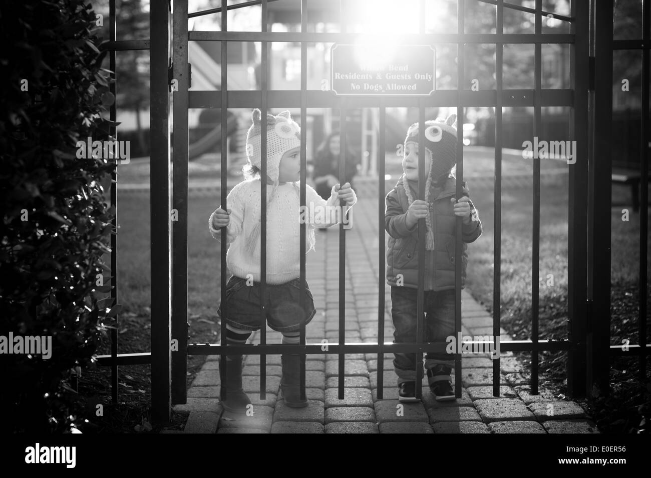 Young kids playing at fence with sunlight in background Stock Photo - Alamy